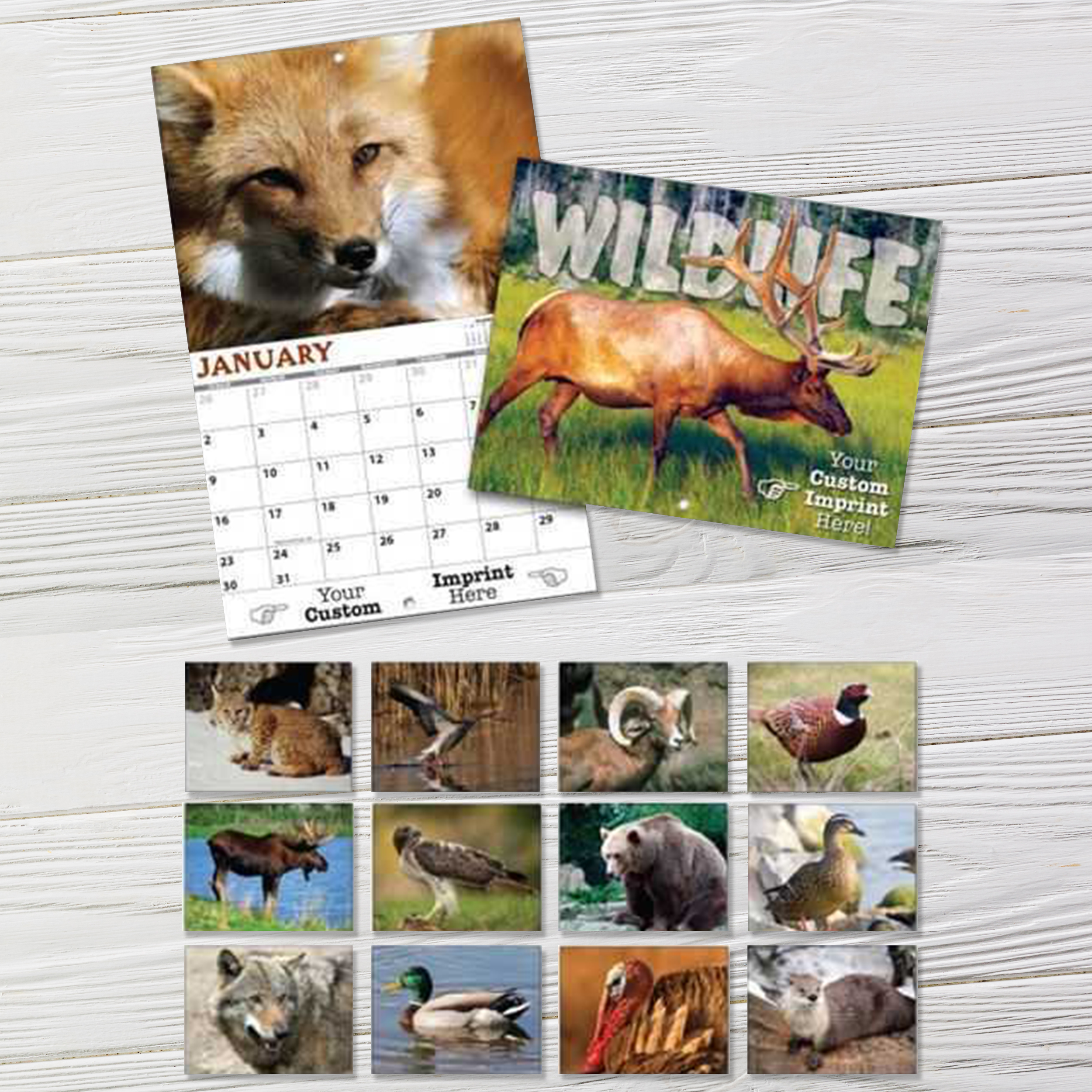 Custom Printed Wall Calendar | Wildlife Theme | Captain Notepad