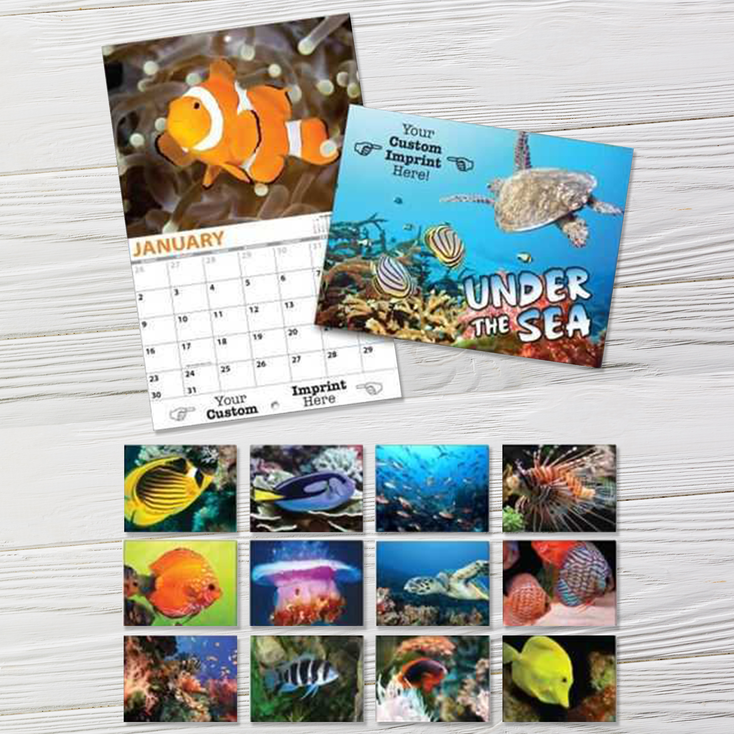 Custom Printed Wall Calendar | Under The Sea Theme | Captain Notepad